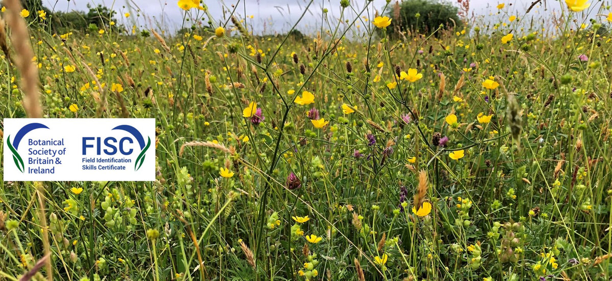 Field Identification Skills Certificate (FISC) | British Botany