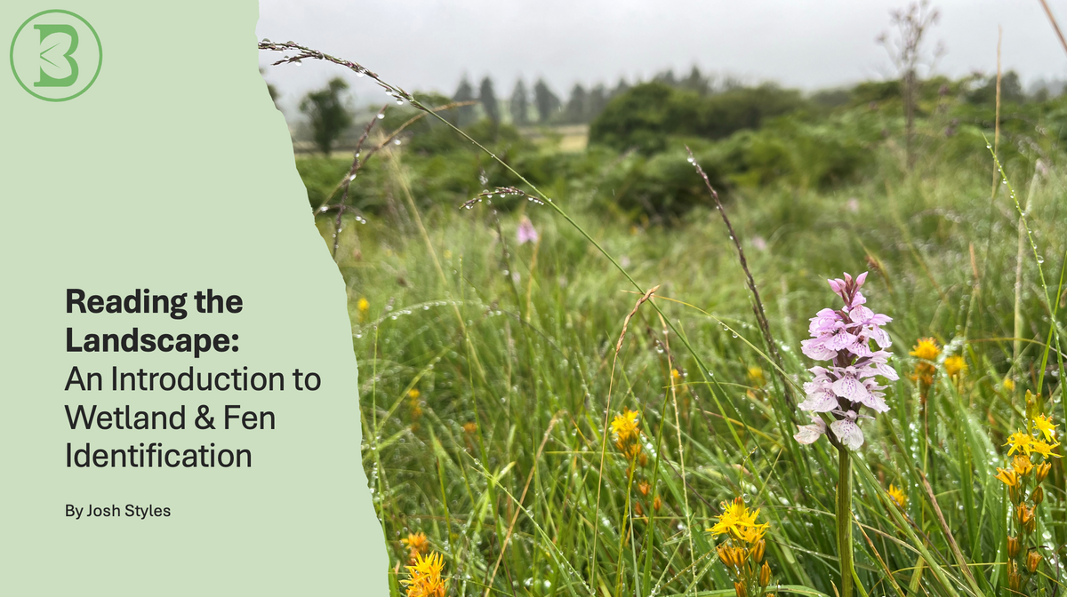 Reading the Landscape: An Introduction to Wetland & Fen Identification ...