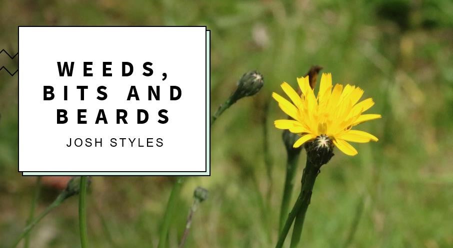 Weeds, Bits and Beards – British Botany